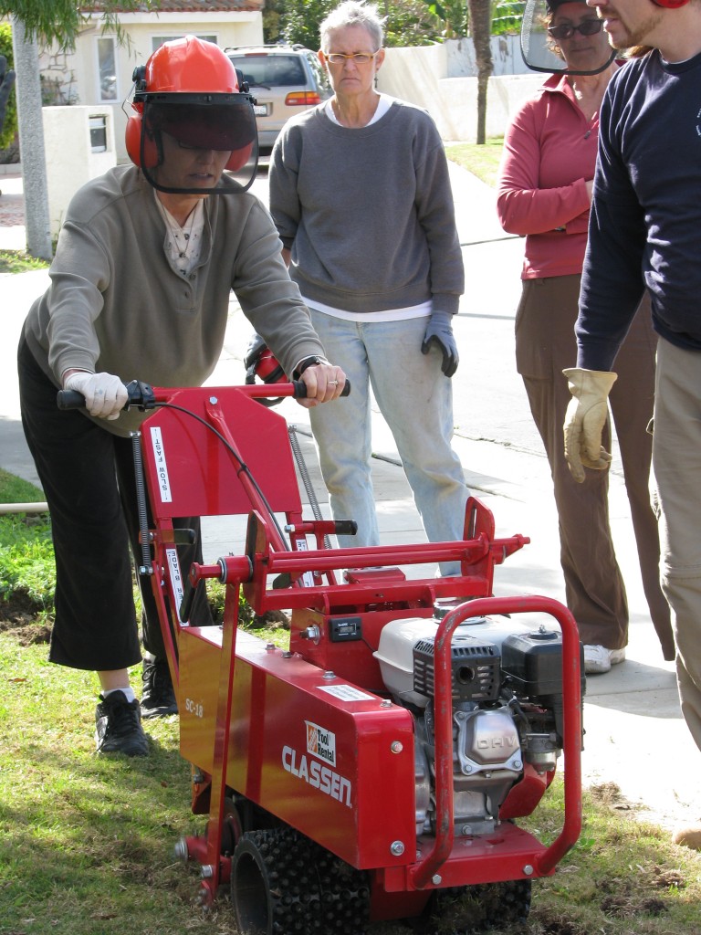 How to Remove your Lawn – Back to Natives Restoration
